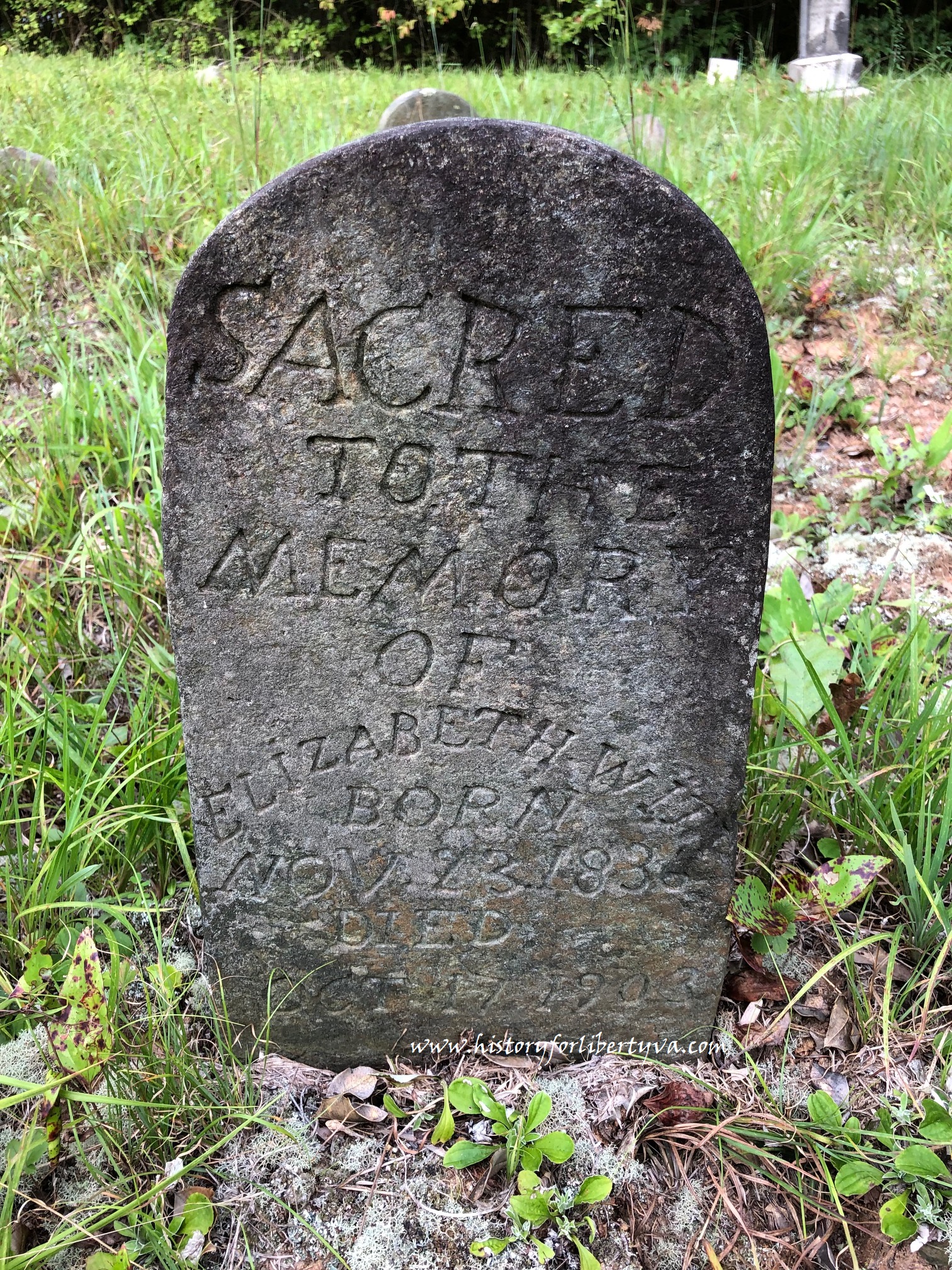 Elizabeth Wilkes Witt – History for Liberty